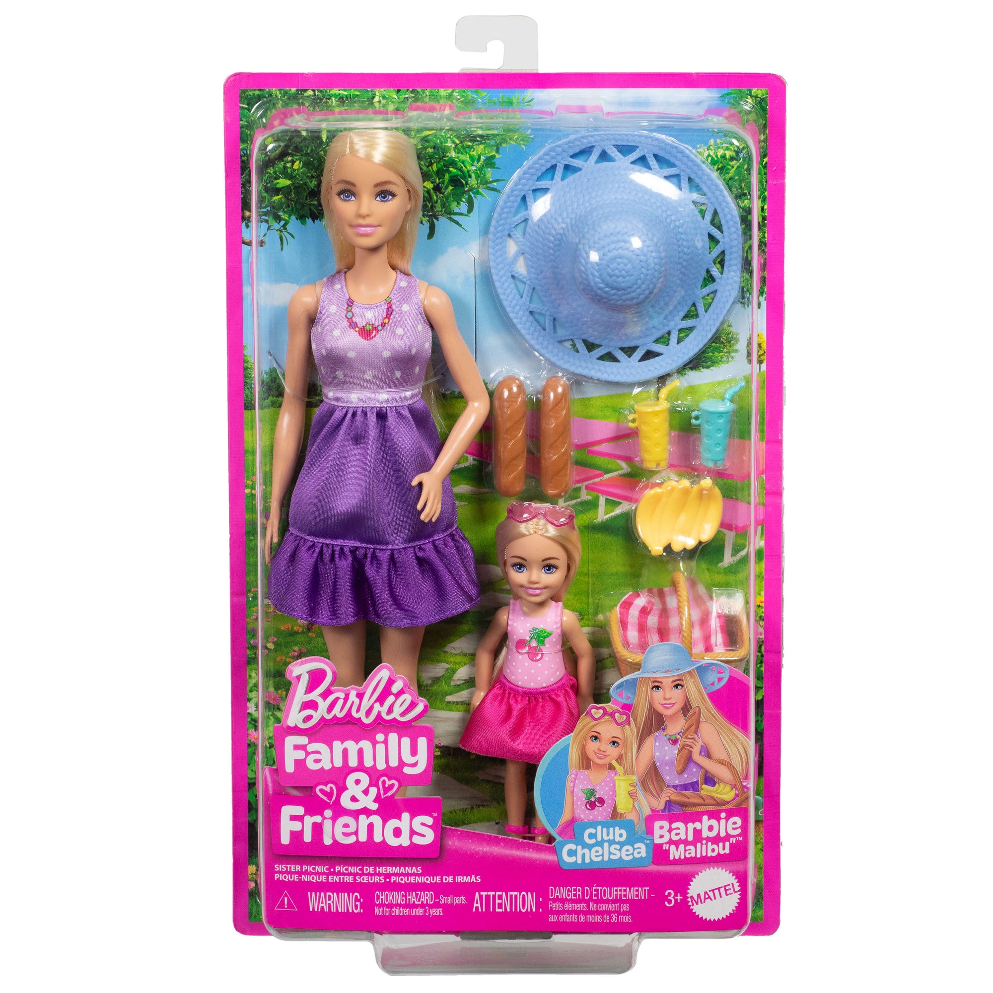 Barbie Family & Friends Dolls & Accessories, Picnic-Themed Playset with ...